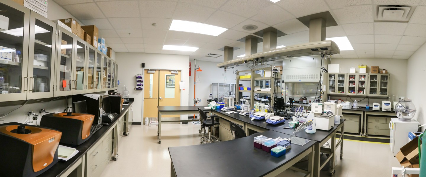 SWC Labs | Neutron Science at ORNL SWC Labs | Neutron Science at ORNL